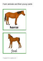 Farm animals and their young matching cards (SB7667) - SparkleBox