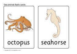 Sea animal flash cards (SB7725) - SparkleBox