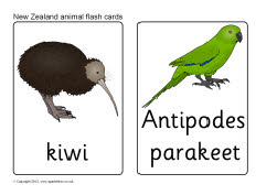 New Zealand animal flash cards (SB7729) - SparkleBox