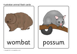 Australian animal flash cards (SB7728) - SparkleBox