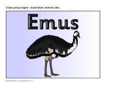 Australian animals class group signs (SB7765) - SparkleBox