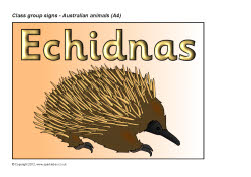 Australian animals class group signs (SB7765) - SparkleBox