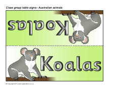 Australian animals class group table signs (SB7764) - SparkleBox
