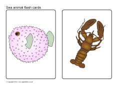 Sea animals picture flash cards (SB7810) - SparkleBox