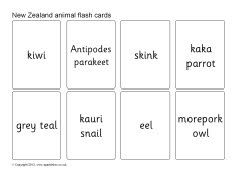 New Zealand animals picture flash cards (SB7806) - SparkleBox