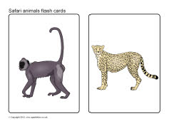 Safari animals picture flash cards (SB7809) - SparkleBox