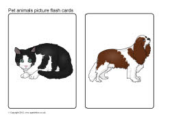 Pet animals picture flash cards (SB7807) - SparkleBox