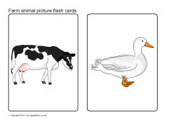 Farm animal picture flash cards (SB7804) - SparkleBox