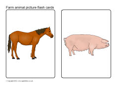 Farm animal picture flash cards (SB7804) - SparkleBox
