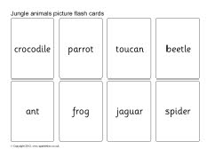 Jungle animals picture flash cards (SB7805) - SparkleBox
