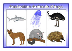 Australian animals bingo (SB7814) - SparkleBox