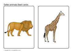 Safari animals picture flash cards (SB7809) - SparkleBox