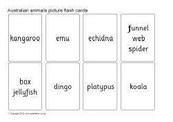 Australian animals picture flash cards (SB7802) - SparkleBox