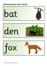 Animal homes topic word cards (SB7979) - SparkleBox