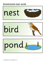 Animal homes topic word cards (SB7979) - SparkleBox