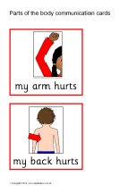 Parts of the body communication cards (SB8013) - SparkleBox