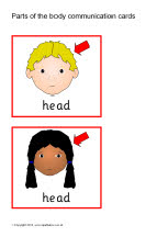 Parts of the body communication cards (SB8013) - SparkleBox