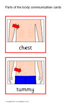 Parts of the body communication cards (SB8013) - SparkleBox