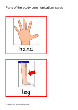 Parts of the body communication cards (SB8013) - SparkleBox