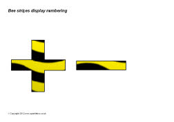 Bee stripes display numbering (SB8039) - SparkleBox