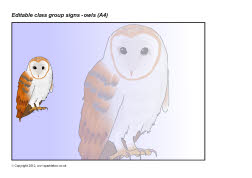 Editable owl-themed group signs - A4 (SB8102) - SparkleBox