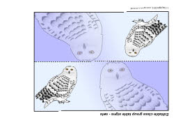 Editable owl-themed group table signs (SB8101) - SparkleBox