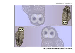 Editable owl-themed group table signs (SB8101) - SparkleBox