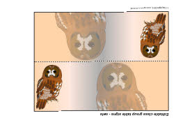 Editable owl-themed group table signs (SB8101) - SparkleBox