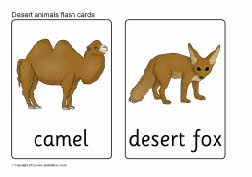 Desert animal flash cards (SB8146) - SparkleBox