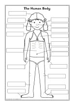 My body labelling sheets (SB8359) - SparkleBox