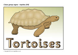 Reptiles class group signs - A4 (SB8538) - SparkleBox