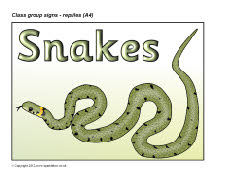 Reptiles class group signs - A4 (SB8538) - SparkleBox