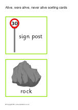 Alive, were alive and never alive sorting cards (SB8595) - SparkleBox