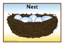 Animal homes posters (SB8594) - SparkleBox