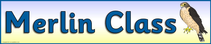 Merlin (bird) classroom signs and labels pack (SB8782) - SparkleBox