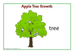 Apple tree growth posters (SB8906) - SparkleBox