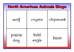 North American animals bingo (SB9075) - SparkleBox