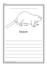 North American animals colour and write worksheets (SB9073) - SparkleBox