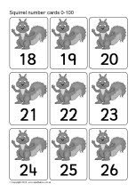 Grey squirrel number cards 0-100 (SB9052) - SparkleBox