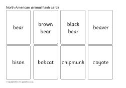 North American animal picture flash cards (SB9067) - SparkleBox