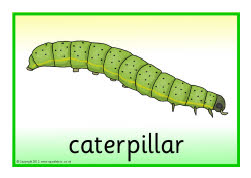 Minibeast posters (SB9082) - SparkleBox