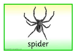 Minibeast posters (SB9082) - SparkleBox