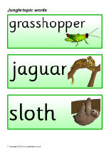 Jungle topic word cards (SB102) - SparkleBox