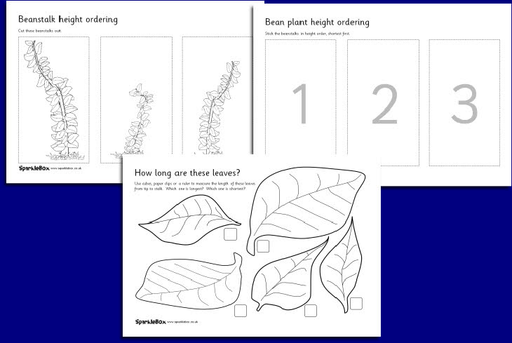 Beanstalk height and length sheets (SB143) - SparkleBox