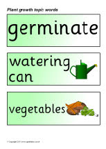 Plant growth topic word cards (SB83) - SparkleBox