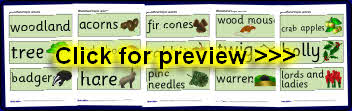 Woodland & Forest Primary Teaching Resources - SparkleBox