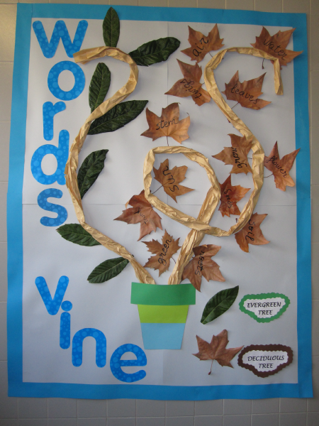 Evergreen and Deciduous Trees Classroom Display Photo - SparkleBox