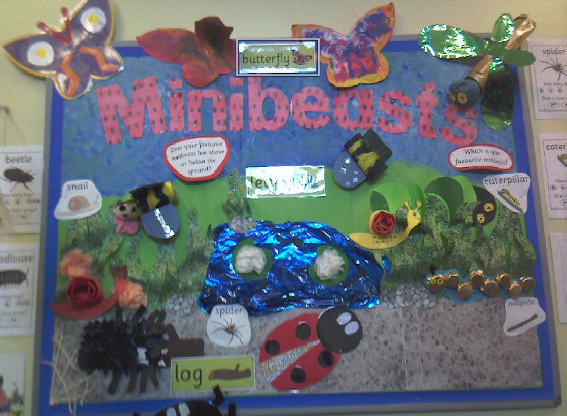 Minibeasts Classroom Display Photo - SparkleBox