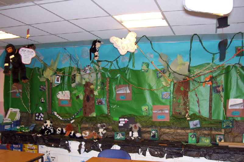 The Rainforest Classroom Display Photo - SparkleBox