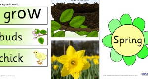 Spring Season Classroom Displays Photo Gallery - SparkleBox